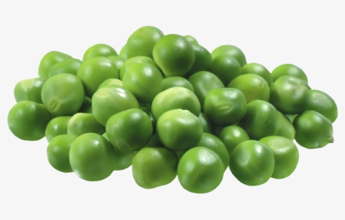 Transparent Pea Png - Seed Dispersal By Explosion Peas , Free ...