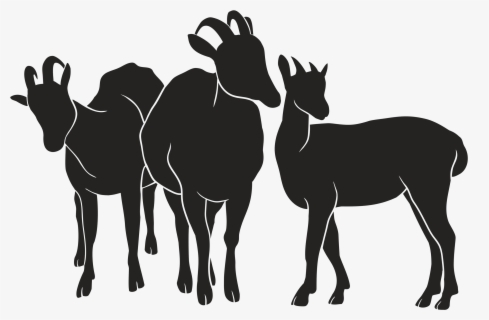 Clipart Goat Nilgiri Tahr - Work Clipart Png , Free Transparent Clipart ...