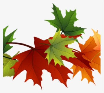Autumn Leaf Color Clip Art - Fall Leaves Clip Art , Free Transparent ...