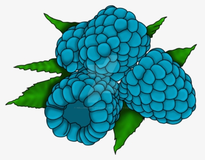 Clip Art Berry Drawing Huge - Blue Raspberry Clipart , Free Transparent ...