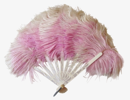Transparent Feather Vector Png - Feather Hand Fan Png , Free ...