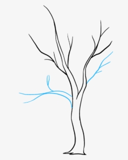 How To Draw Fall Tree - Easy Small Tree Drawing , Free Transparent ...