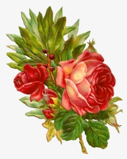 Victorian Rose Clip Art - Transparent Vintage Roses Png , Free ...