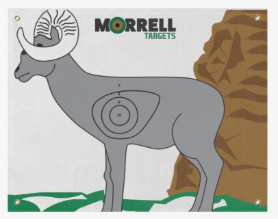 O/nasp Polypropylene Archery Target Face - Nasp Ibo 3d Targets , Free ...