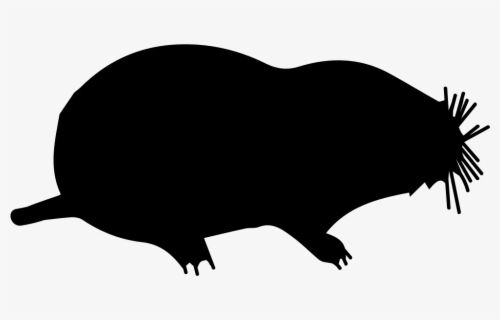 Free Mole Clip Art With No Background Clipartkey