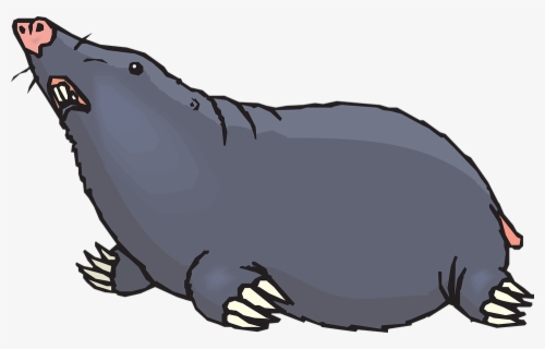 Mole - Diglett Pokemon , Free Transparent Clipart - ClipartKey