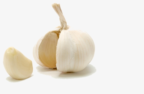 Garlic Png Transparent Images - Garlic Clove No Background , Free ...
