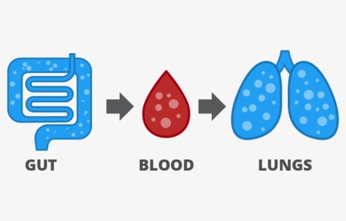 Hydrogen Breath Test Icon , Free Transparent Clipart - ClipartKey