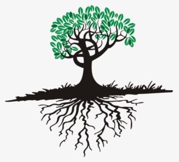 Transparent Background - Root , Free Transparent Clipart - ClipartKey