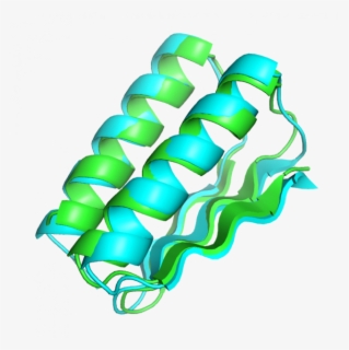 Free Protein Clip Art with No Background - ClipartKey