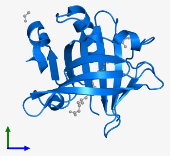 Protein Svg , Free Transparent Clipart - ClipartKey