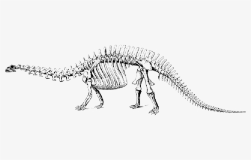 Transparent Brontosaurus Png - Dino Svg , Free Transparent Clipart ...
