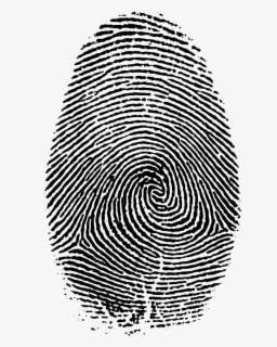 Fingerprint Png - Transparent Background Fingerprint Png , Free ...