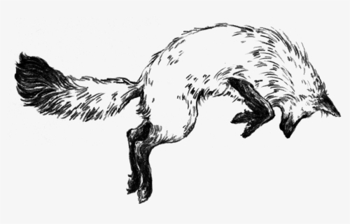Arctic Snow Fox Png Image - Snow Fox , Free Transparent Clipart ...