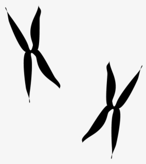 Utsa Roadrunners Logo , Free Transparent Clipart - ClipartKey