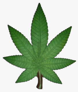 Marijuana Leaf Png - Blunts Transparent Background , Free Transparent ...