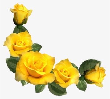 Yellow Rose Clipart - Border Yellow Flowers Png , Free Transparent ...
