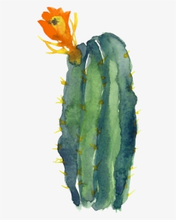 Transparent Cactus Drawing Png - Cacti Watercolor Clip Art , Free ...