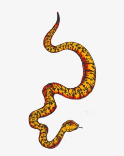 Colourful Snake Png Clipart , Png Download - Python , Free Transparent ...
