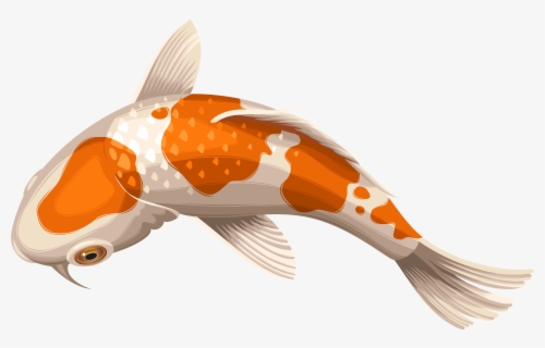 Transparent Fish Vector Png - Koi Fish Vector Png , Free Transparent ...