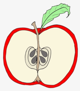 Free Apple Tree Clip Art with No Background - ClipartKey