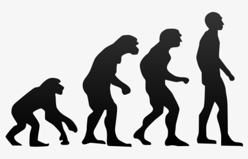 Human Evolution Vector , Free Transparent Clipart - ClipartKey