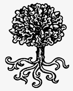 Oak Tree With Roots Heraldry , Png Download - House Rowan , Free ...