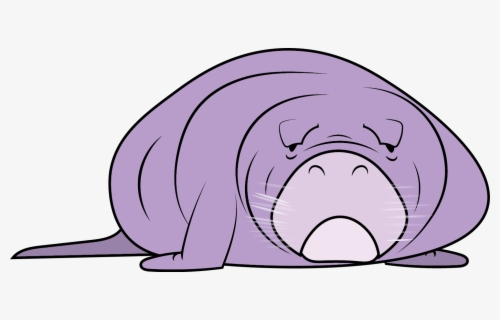 Free Manatee Clip Art with No Background - ClipartKey