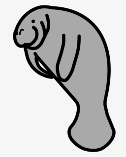 Free Manatee Clip Art with No Background - ClipartKey