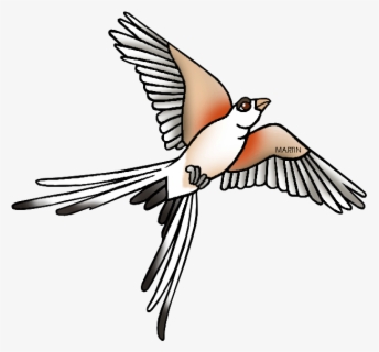 United States Clip Art By Phillip Martin, State Bird , Free Transparent ...