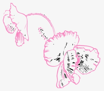 Transparent Flower Coloring Page , Free Transparent Clipart - ClipartKey