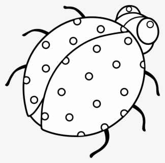 Free Ladybug Black And White Clip Art with No Background - ClipartKey