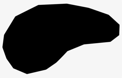 Amoeba - Png Amoeba , Free Transparent Clipart - ClipartKey