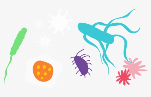Svg Black And White Smart Infectious Diseases For - Transparent ...