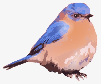 Eastern Bluebird - Blue Bird Transparent Background , Free Transparent ...