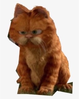 Garfield Png Image Download - Garfield The Cat , Free Transparent ...