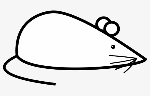 Png Mouse Pictures - 5 Mice Clipart , Free Transparent Clipart - ClipartKey