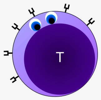 Helper T Cell Clipart , Free Transparent Clipart - ClipartKey
