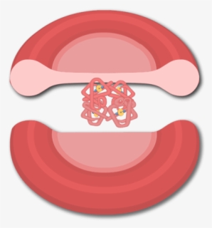 Clip Art Transport Of Oxygen In - Hemoglobin Animation Png , Free ...