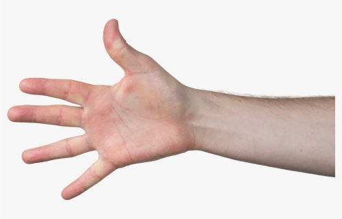 Transparent Grabbing Hand Png - Hand Reaching Png , Free Transparent ...