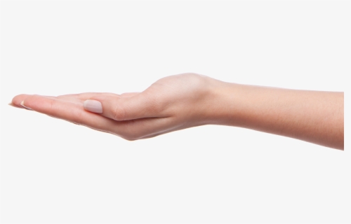 Product Thumb Mind Soul Hand Palm Hands Clipart - Hand Png , Free ...