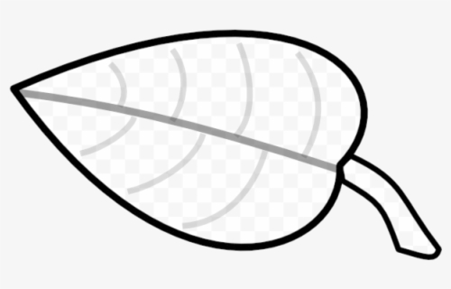 Free Leaf Outline Clip Art with No Background - ClipartKey