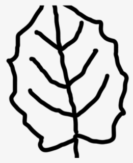 Free Leaf Outline Clip Art with No Background - ClipartKey