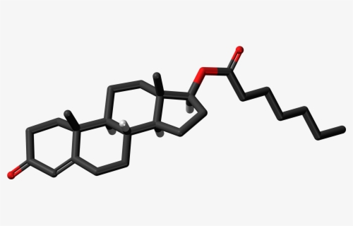 Testosterone Enanthate Molecule Skeletal Clipart , - Cortisol Symbol ...