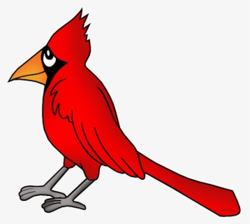 Charlie Cardinal Logo Png Transparent - Ball State Cardinal Logo , Free ...