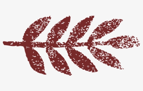 Lidi , Free Transparent Clipart - ClipartKey