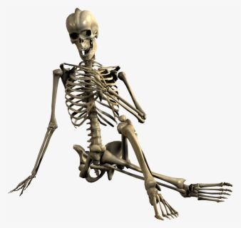 Skeleton Back Png , Free Transparent Clipart - ClipartKey