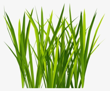 Download New Textures Billboard Grass - Grass Texture Unity Png - ClipartKey