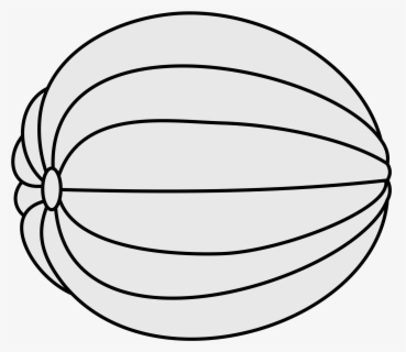 Jpg Black And White Library Melon Drawing - Circle , Free Transparent ...