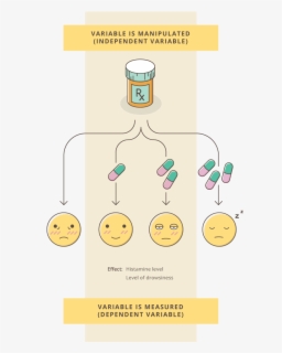 Clip Art Science Experiment Outline - Metodo Cientifico Tostador , Free ...